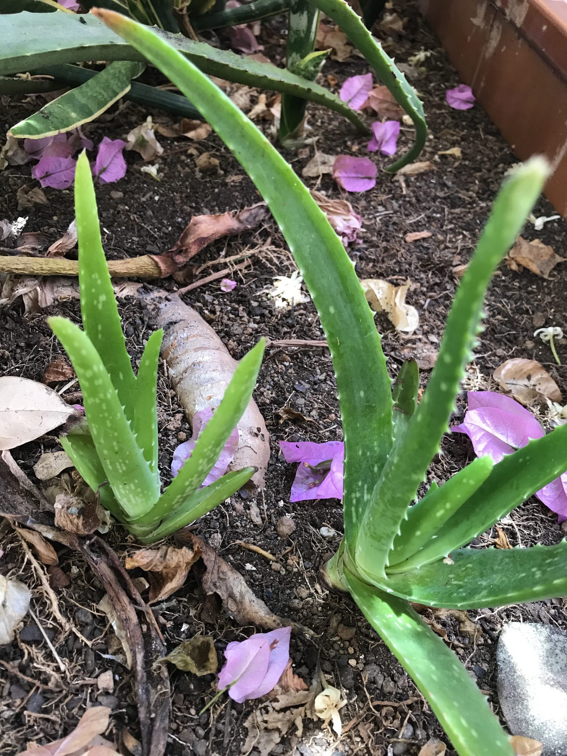 Mi estación favorita | Blog